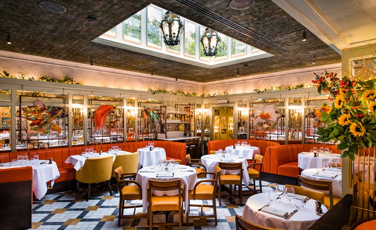 The Ivy Café St John’s Wood | Wallpaper*