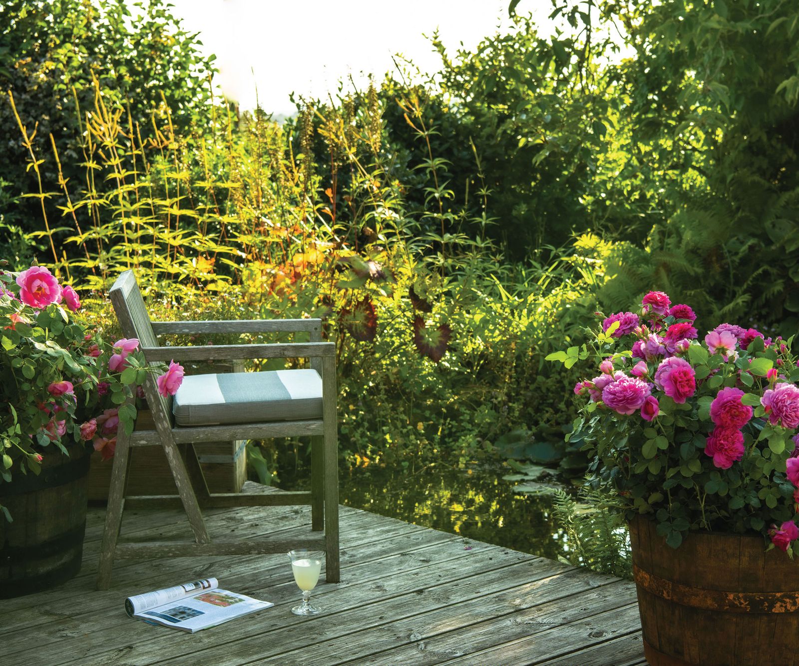 Landscaping with roses: 8 techniques to try | Homes and Gardens