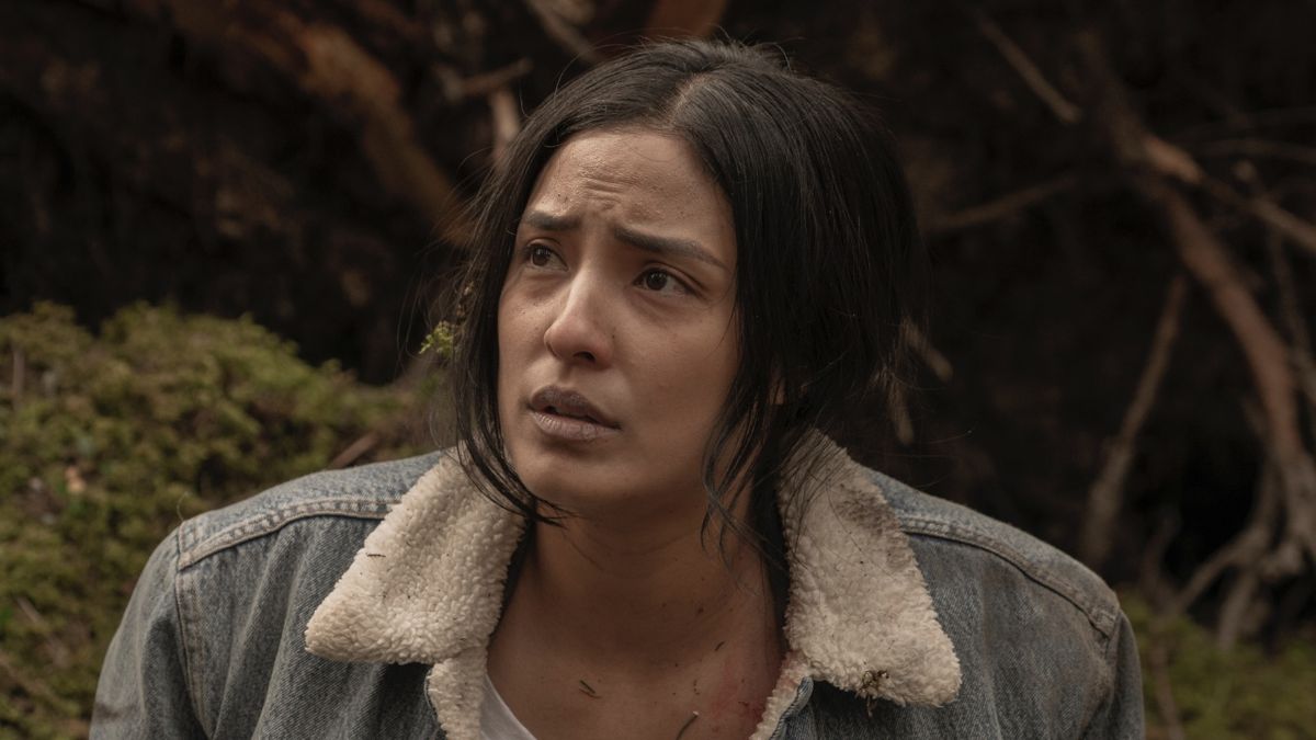 As FBI Casts Another Replacement Agent For Season 7, John Boyd Told Us What Scola Needs In A ...