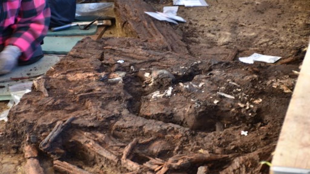 Human 'bog bones' discovered at Stone Age campsite in Germany | Live ...