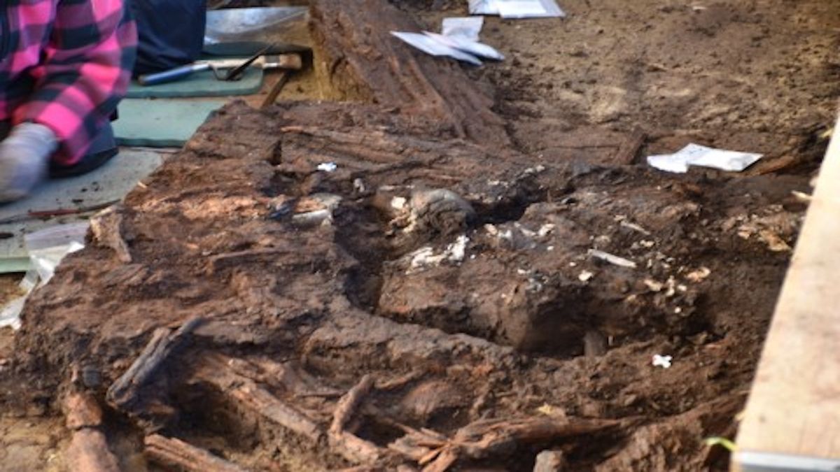 Human 'bog bones' discovered at Stone Age campsite in Germany | Live ...