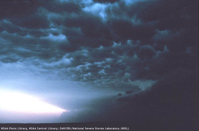 Curious Clouds | Polar Clouds & Stratosphere | Wild Weather | Live Science