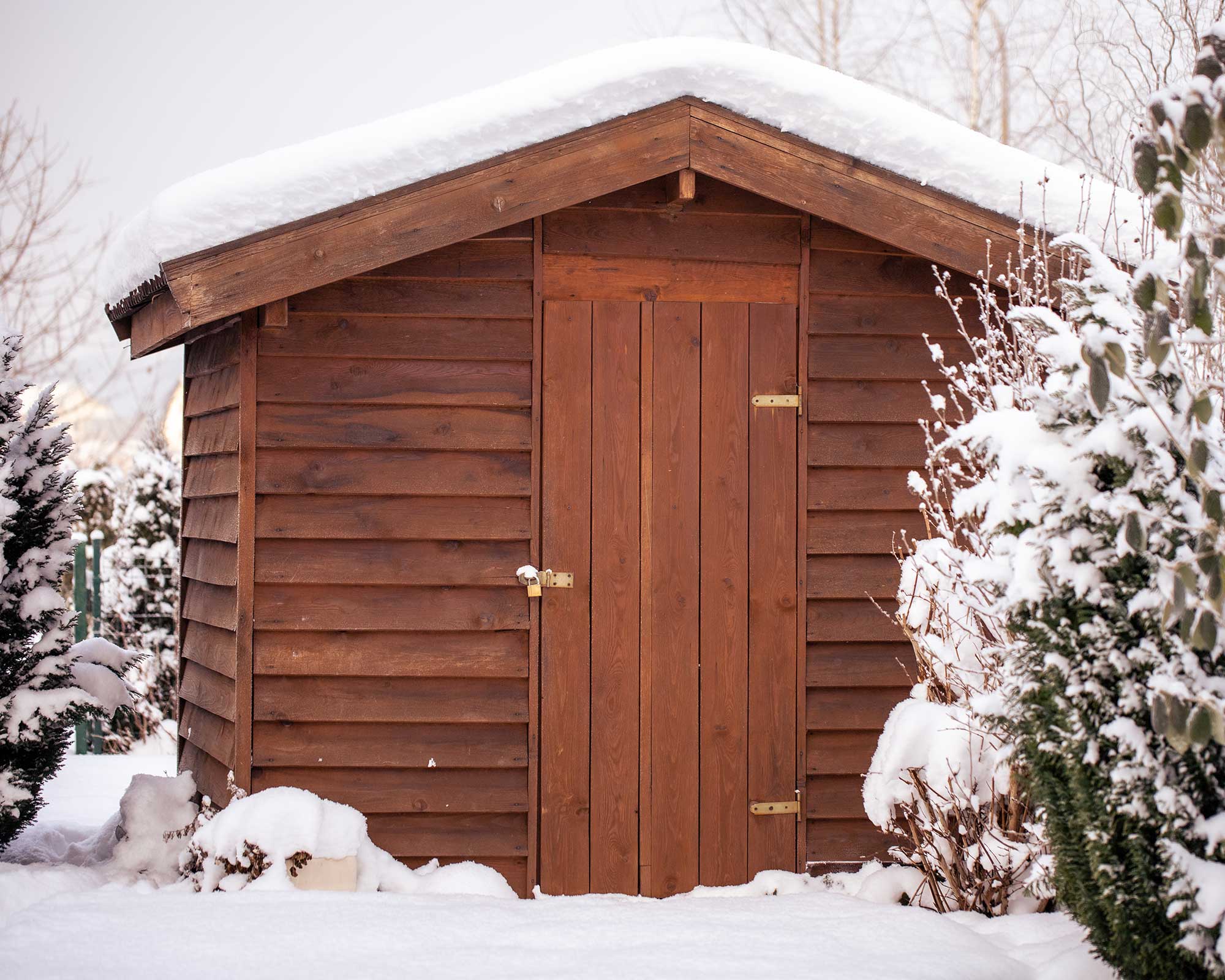 如何防风雨:5个基本步骤|园艺等 - beplay app 下载