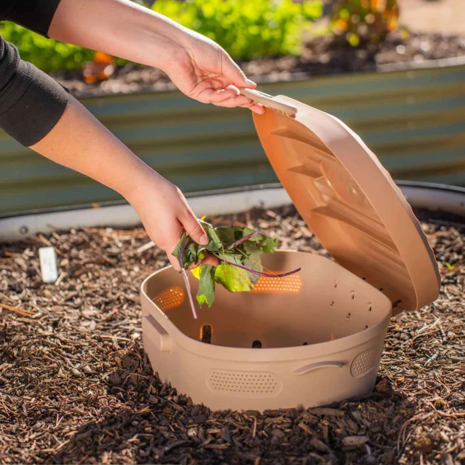 How To Compost At Home: The Ultimate Step-By-Step Guide | Gardening ...