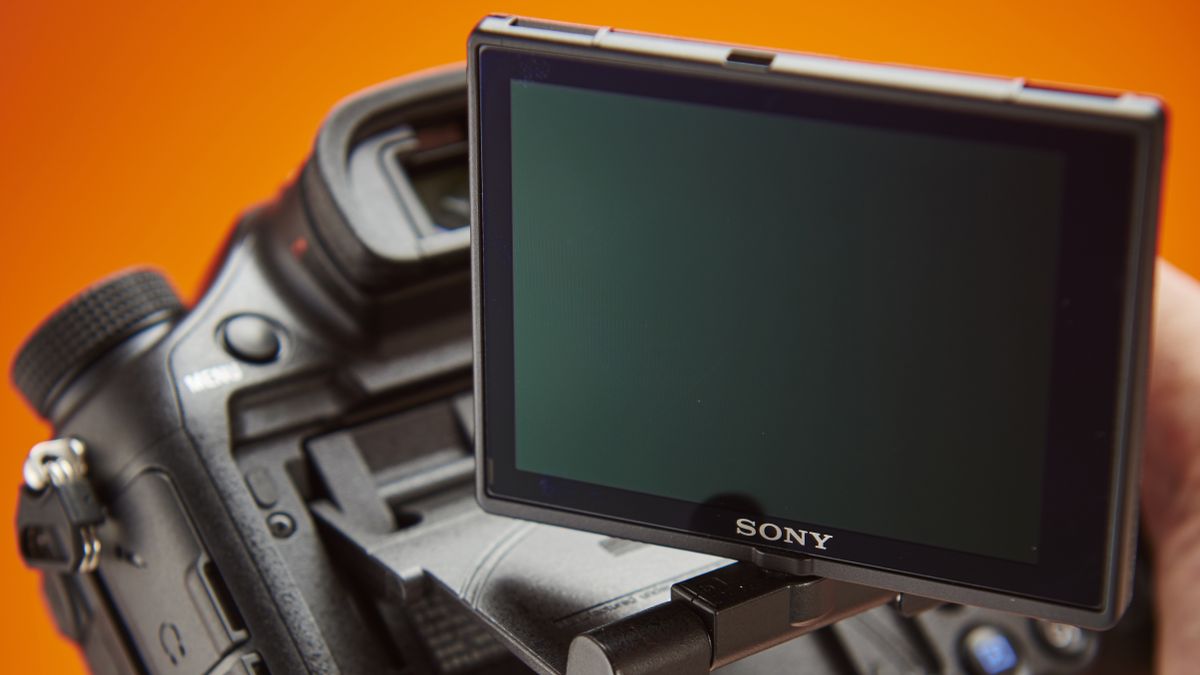 Performance and image quality - Sony Alpha A99 II review - Page 3 ...