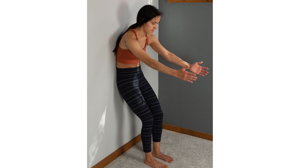 The oblique muscles: What are they and how to make them stronger | Live ...