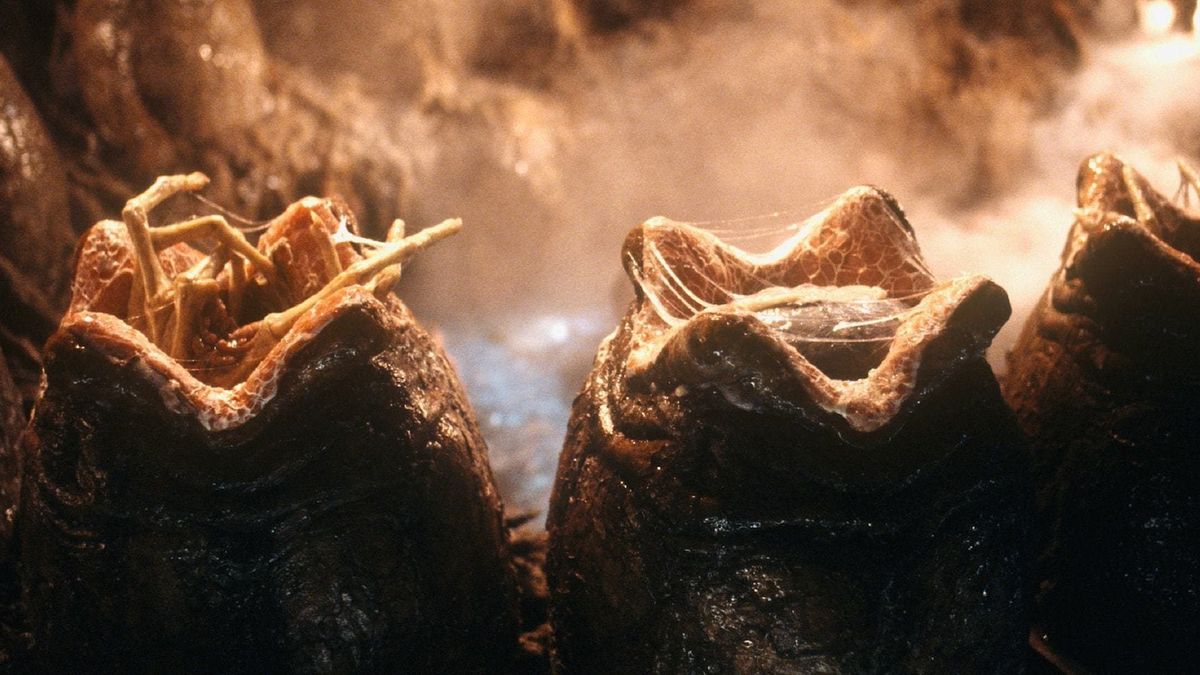 How realistic is the xenomorph in 'Alien: Earth'? We asked a zoologist ...