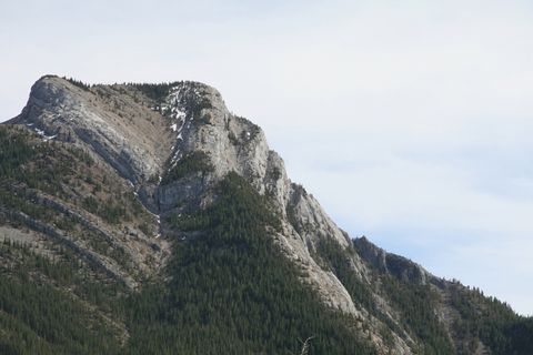 Heart Shapes in Nature Images | Nature Photos | Live Science