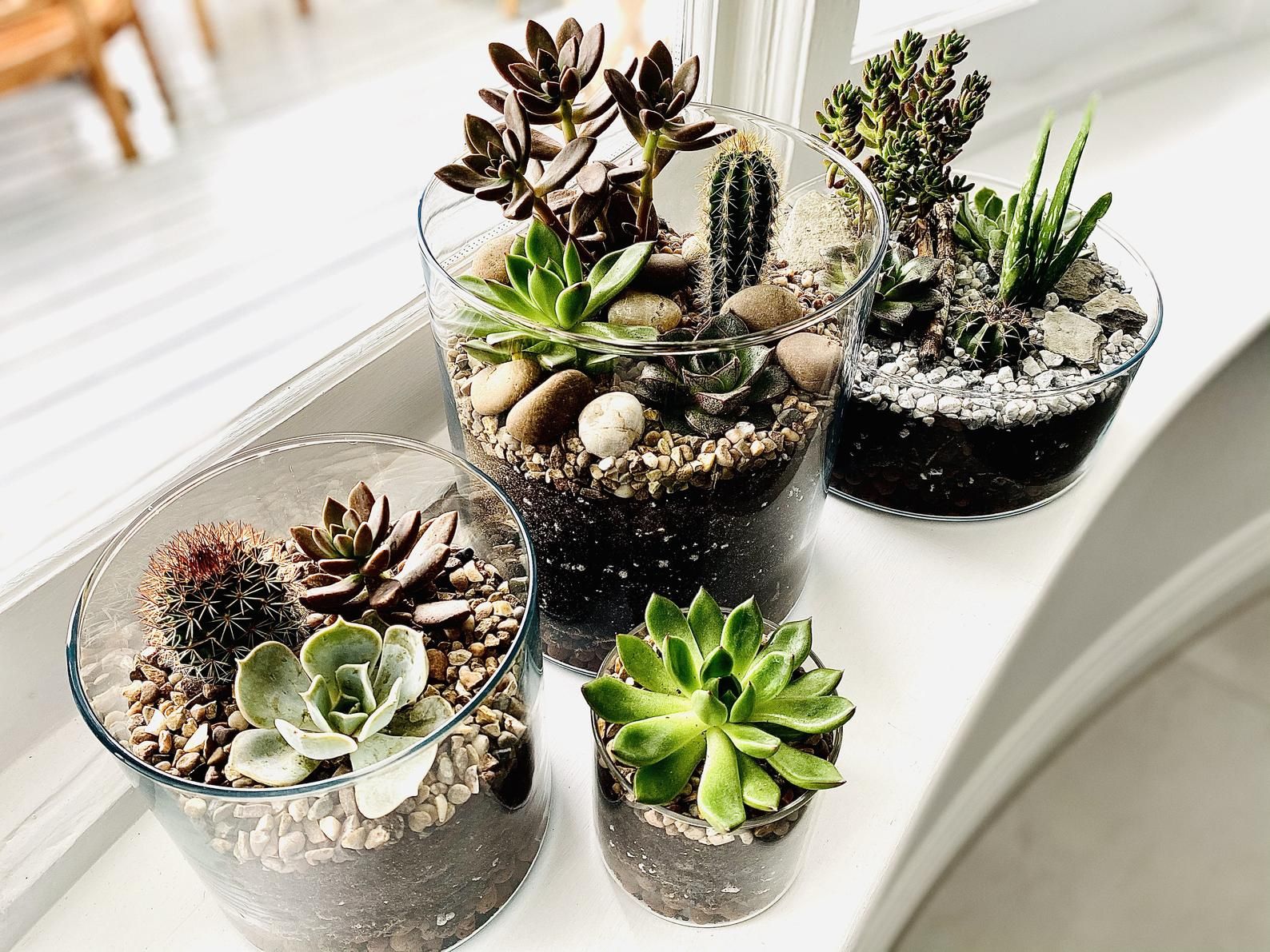 10 terrarium ideas for a beautiful plant display | Real Homes