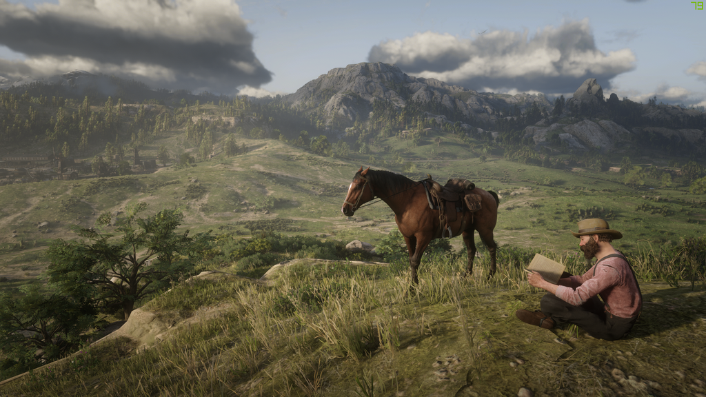 Red Dead Redemption 2 review | PC Gamer