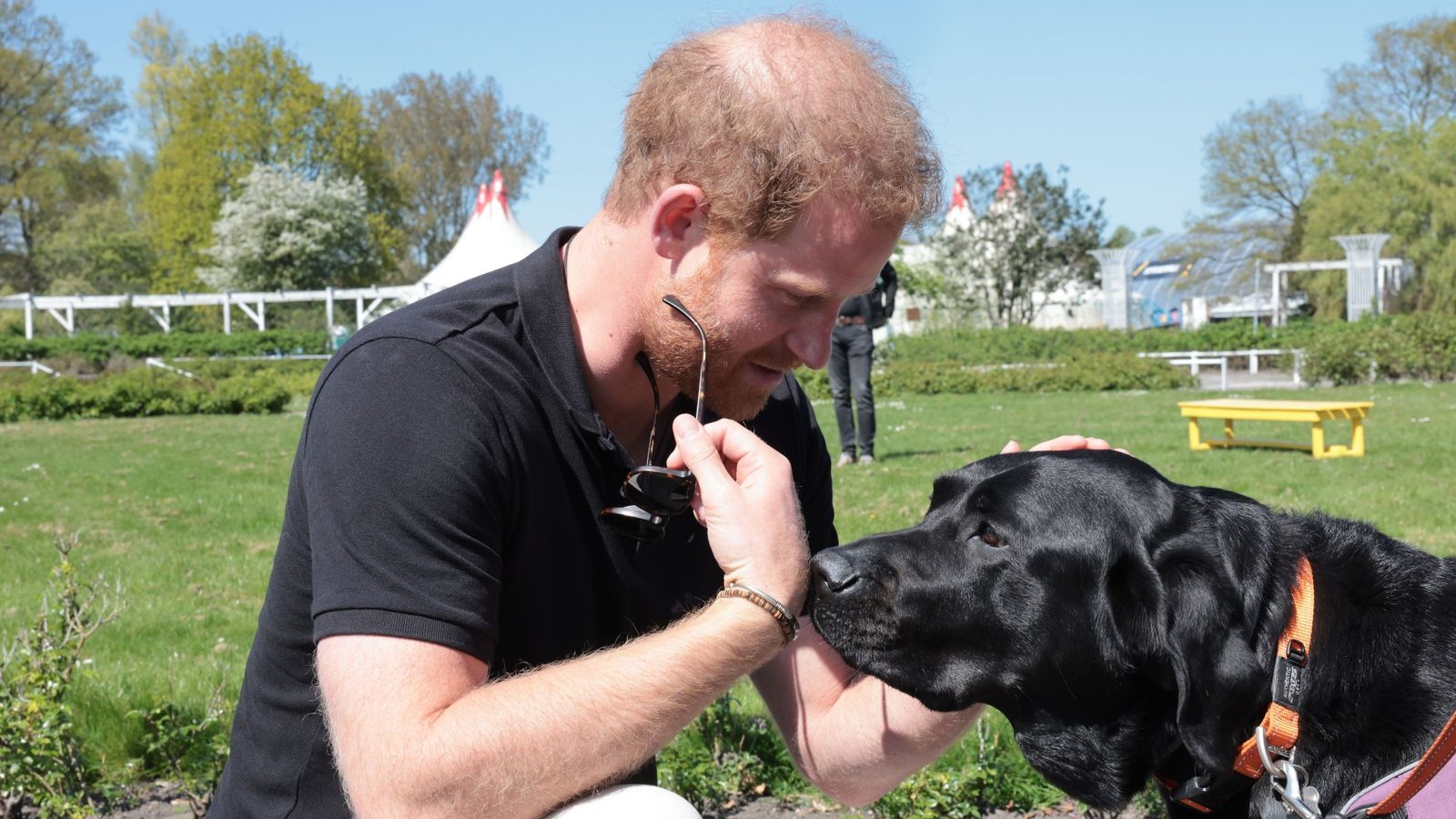 Photo of King Charles putting Prince Harry on a dog sparks so many ...