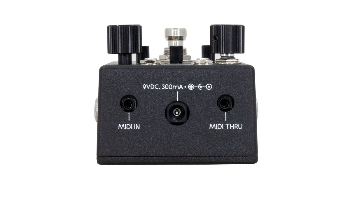 Walrus Audio Canvas Rehearsal review | Guitar World