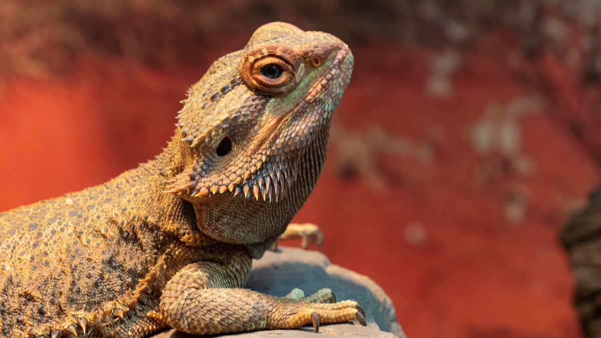 15 unexpected effects of climate change | Live Science
