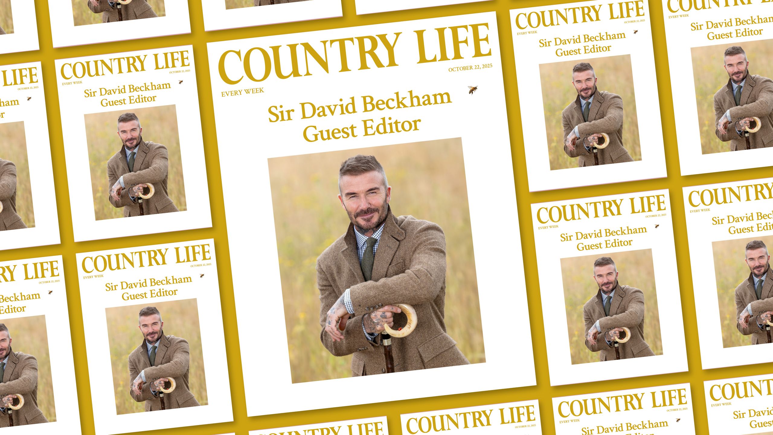 Exclusive: Sir David Beckham's guest edit is out now — have a look ...
