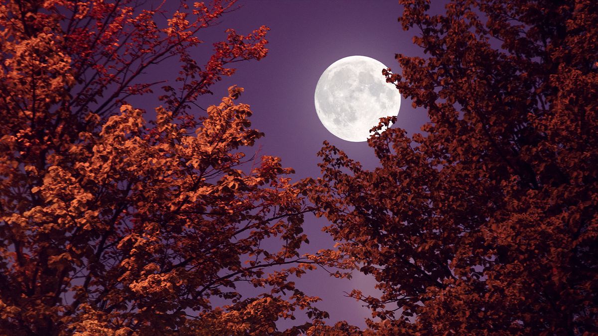 October Full Moon 2025 October Full Moon 2025