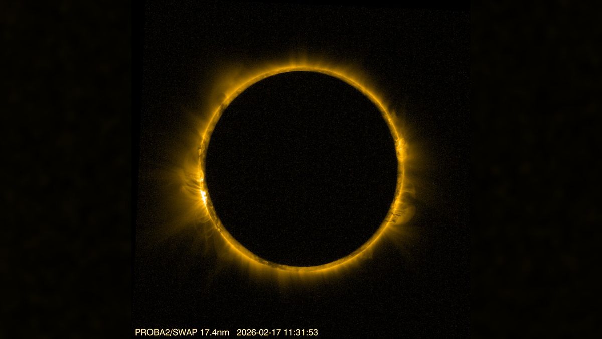 Annular 'ring of fire' solar eclipse February 2026 - Live updates | Space