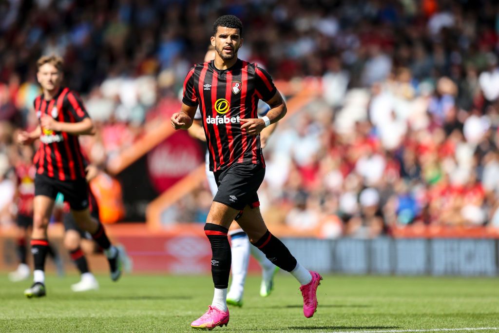 Bournemouth season preview 2023/24: Why the Cherries are looking up the ...