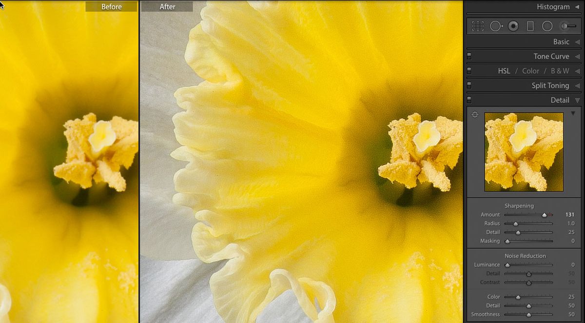 Lightroom series part 2: How to make shots look sharper with Lightroom ...