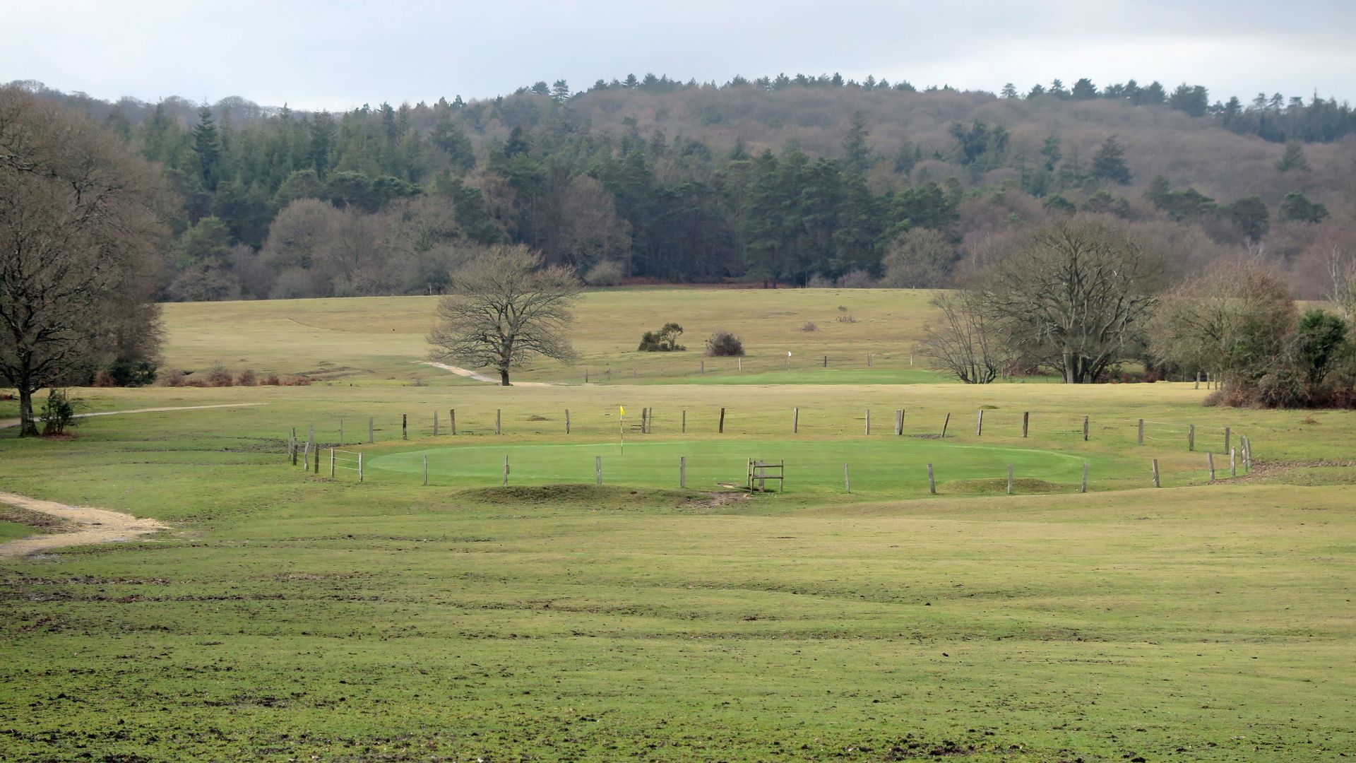 Bramshaw Golf Club Forest Course Review | Golf Monthly
