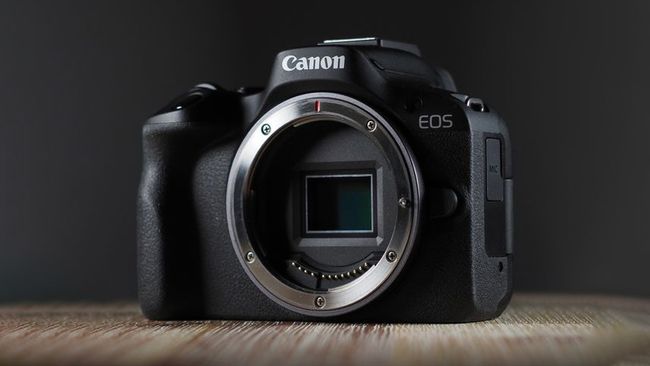 Canon EOS R50 and Sony ZV-E10/ II capture nearly 50% of Japan's top 20 ...