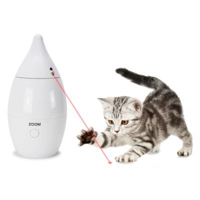 Best automatic laser cat toys: The top cat chasing devices | PetsRadar