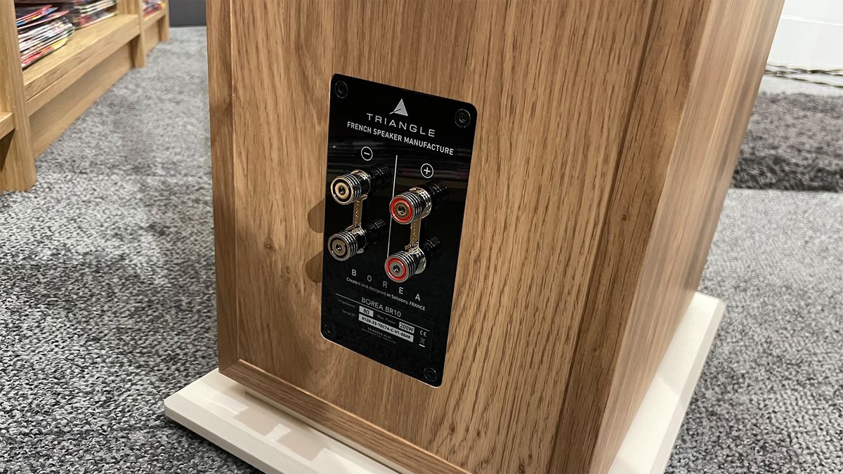 Triangle Borea BR10 floorstanders review: an entertaining performance ...