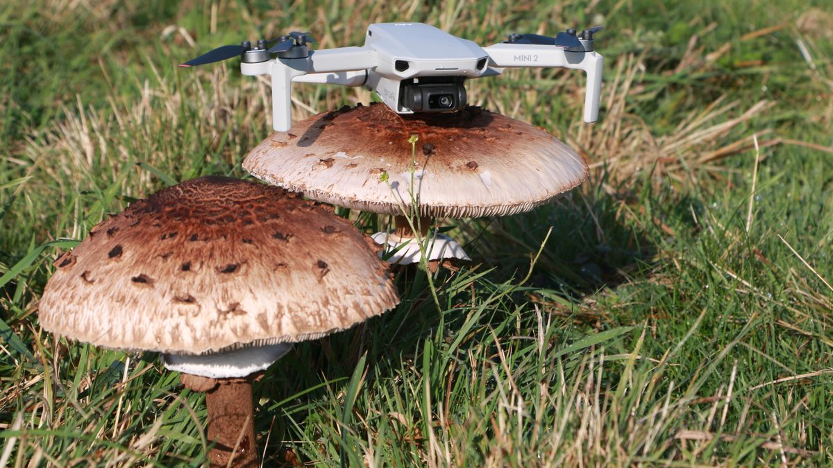 DJI Mini 2 review | Space