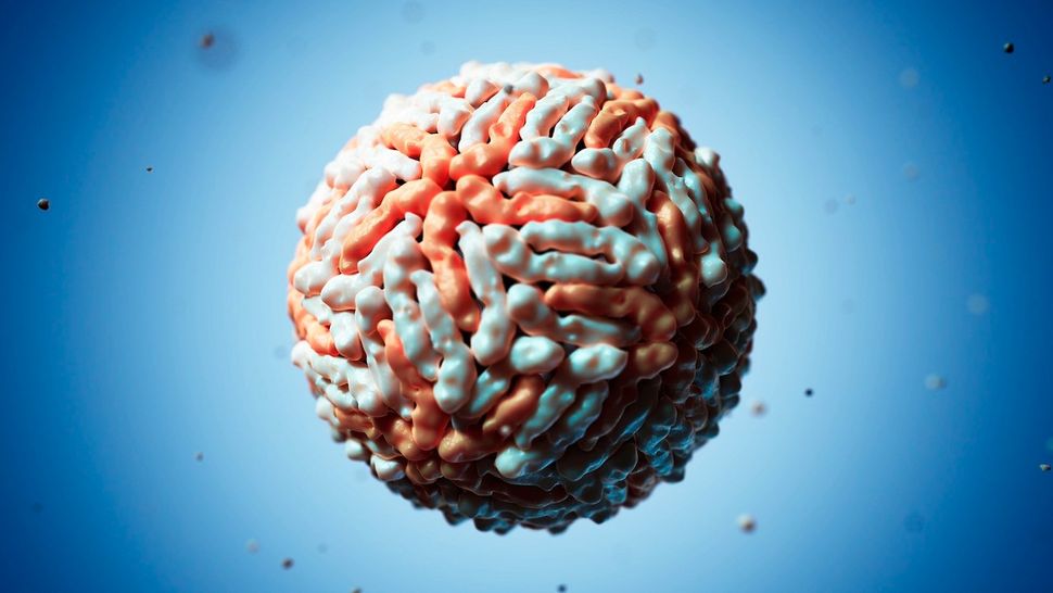 The deadliest viruses in history | Live Science