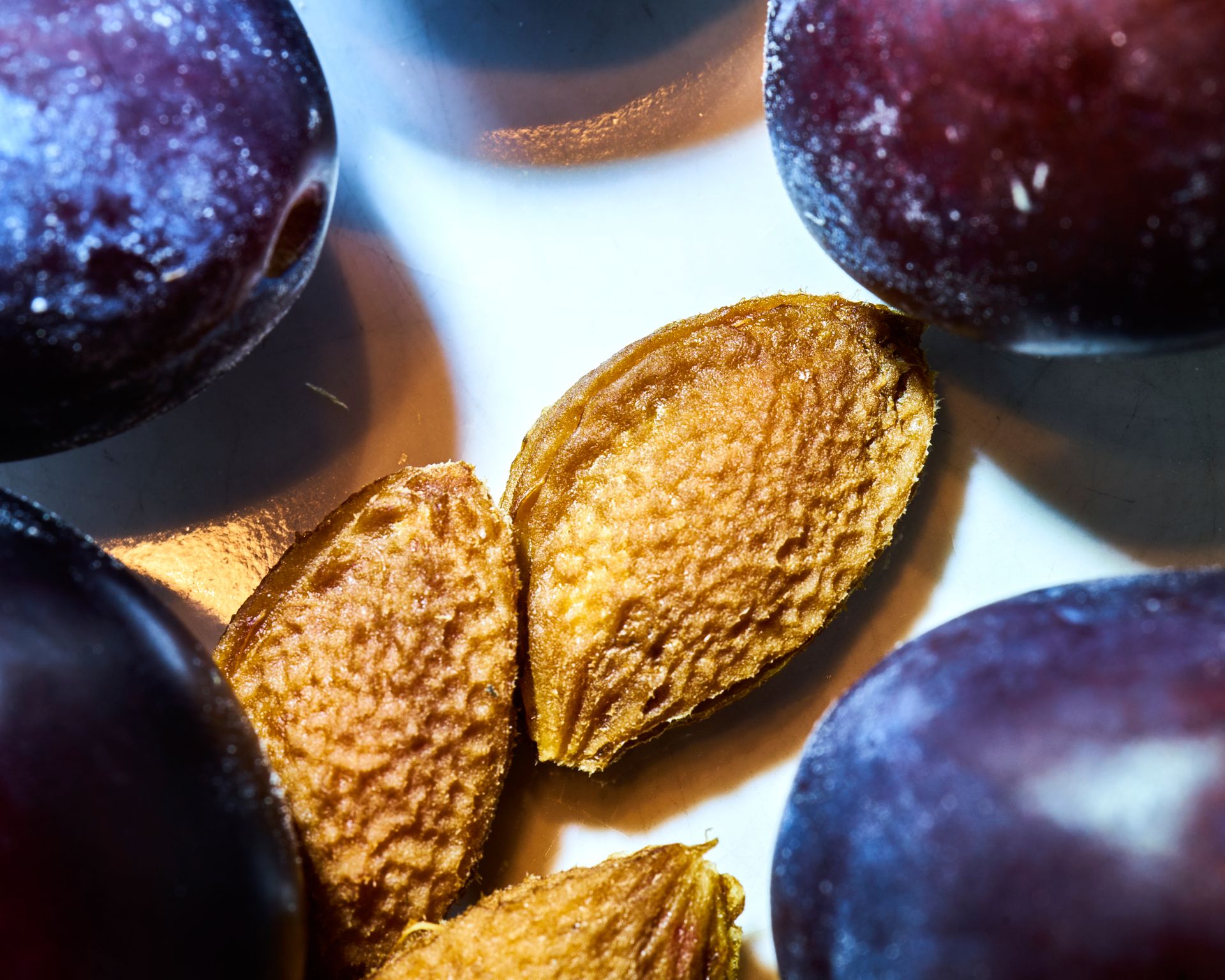 Plum Seed Planting Guide: How To Grow A Plum Tree From A Pit ...