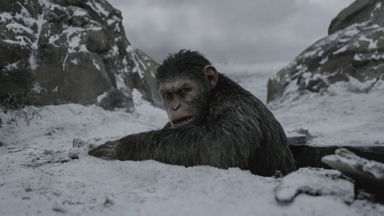 Movies to watch on Blu-Ray and DVD: War for the Planet of the Apes ...