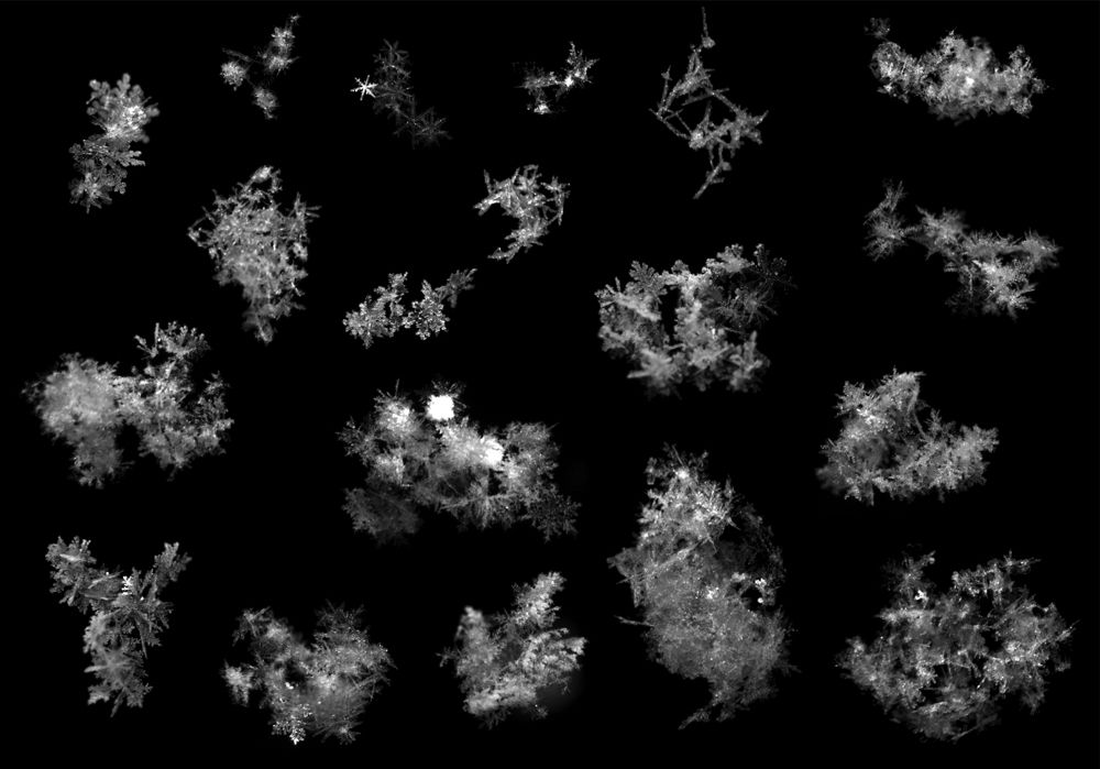 Capturing Falling Snow, One Flake at a Time | Live Science