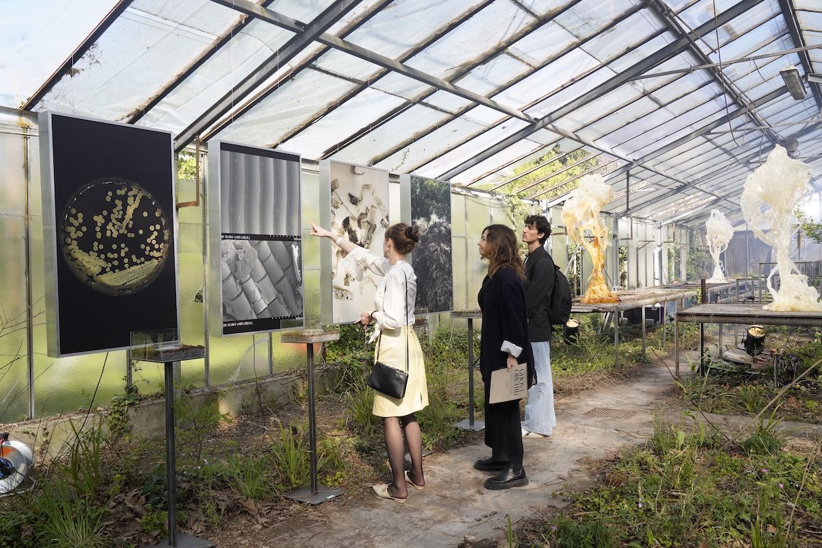 Alcova 2025 highlights beauty in urban decay | Wallpaper