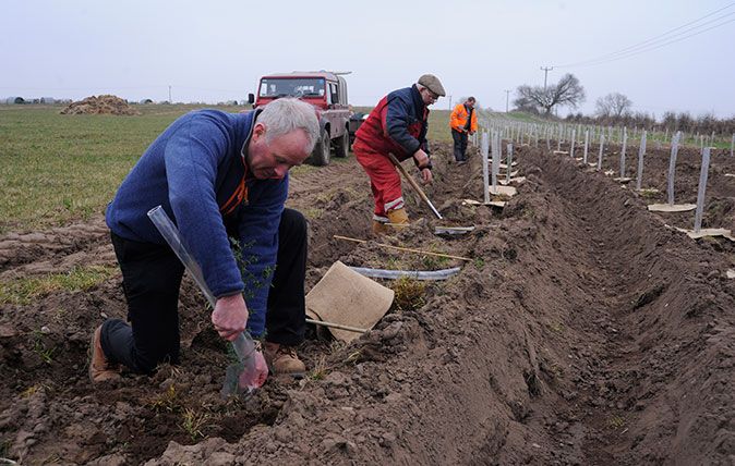 Why farmers are growing to love trees – with the help of the Woodland ...