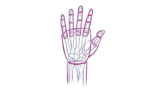 Learn these easy steps to draw detailed hands | Creative Bloq