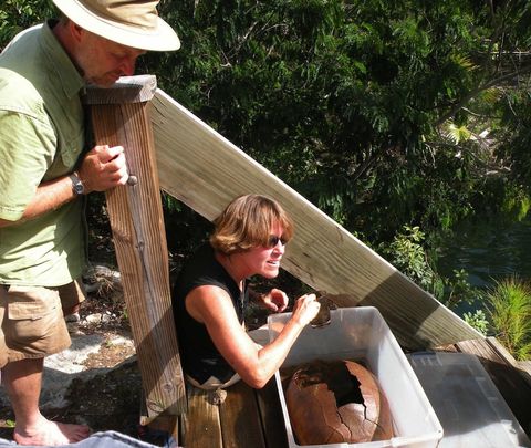 Underwater Fossil Graveyard Reveals Toll of Human-Caused Extinction ...