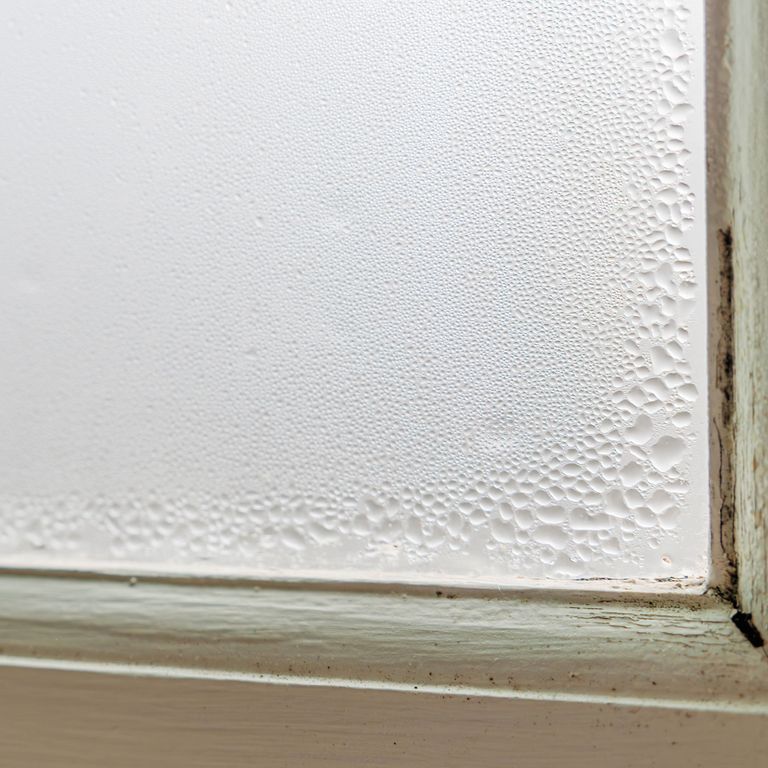 Mould or condensation marks - how to tell the difference | Ideal Home
