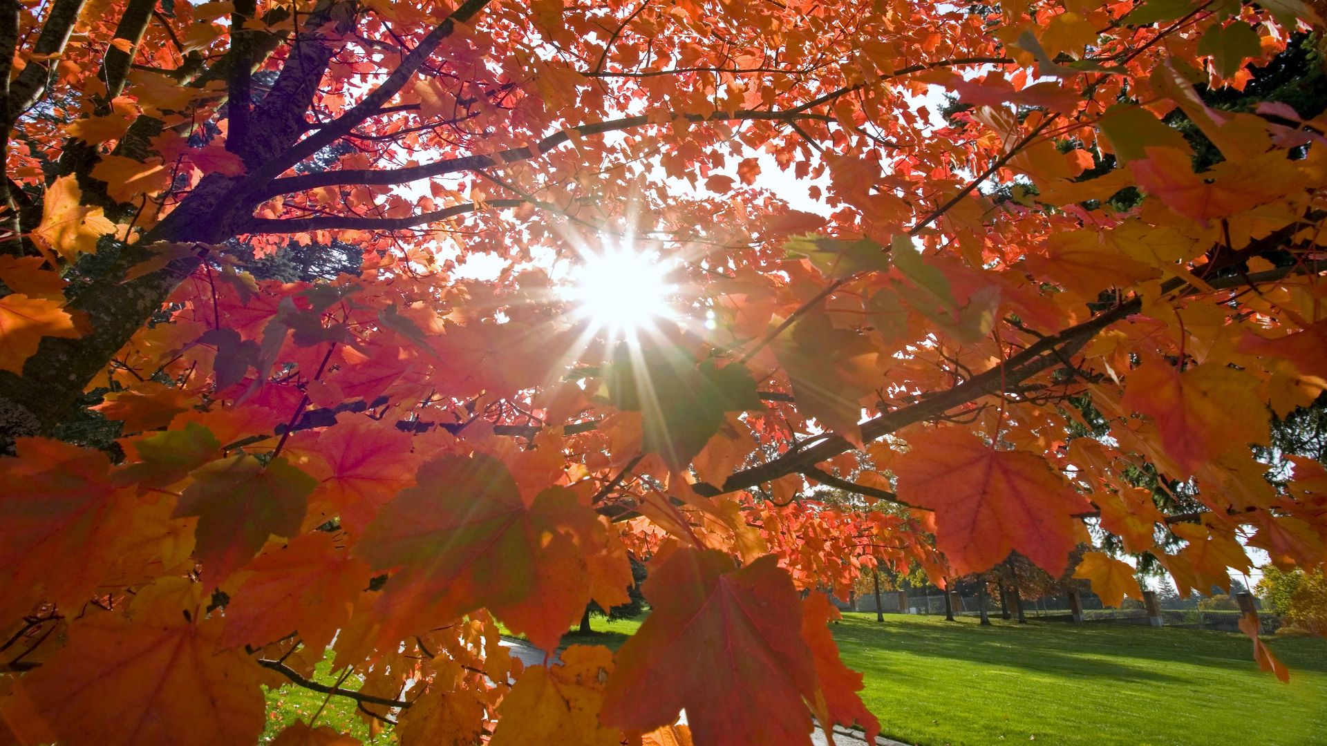 Autumn equinox 2025: When does fall begin, and what is an equinox ...