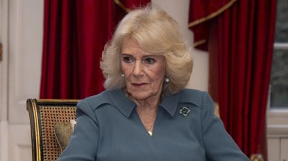 Queen Camilla Details Anger She Felt After Sexual Assault | Marie Claire