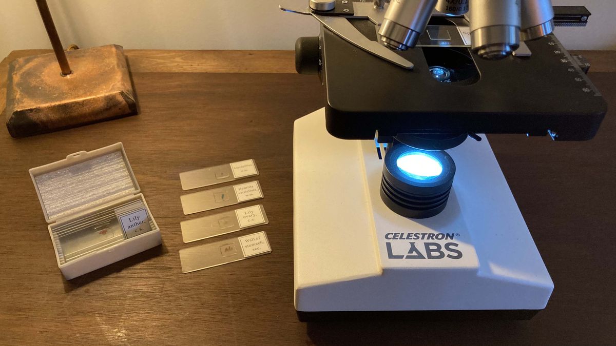 Celestron Labs CB2000C Advanced Biological Trinocular Microscope review ...