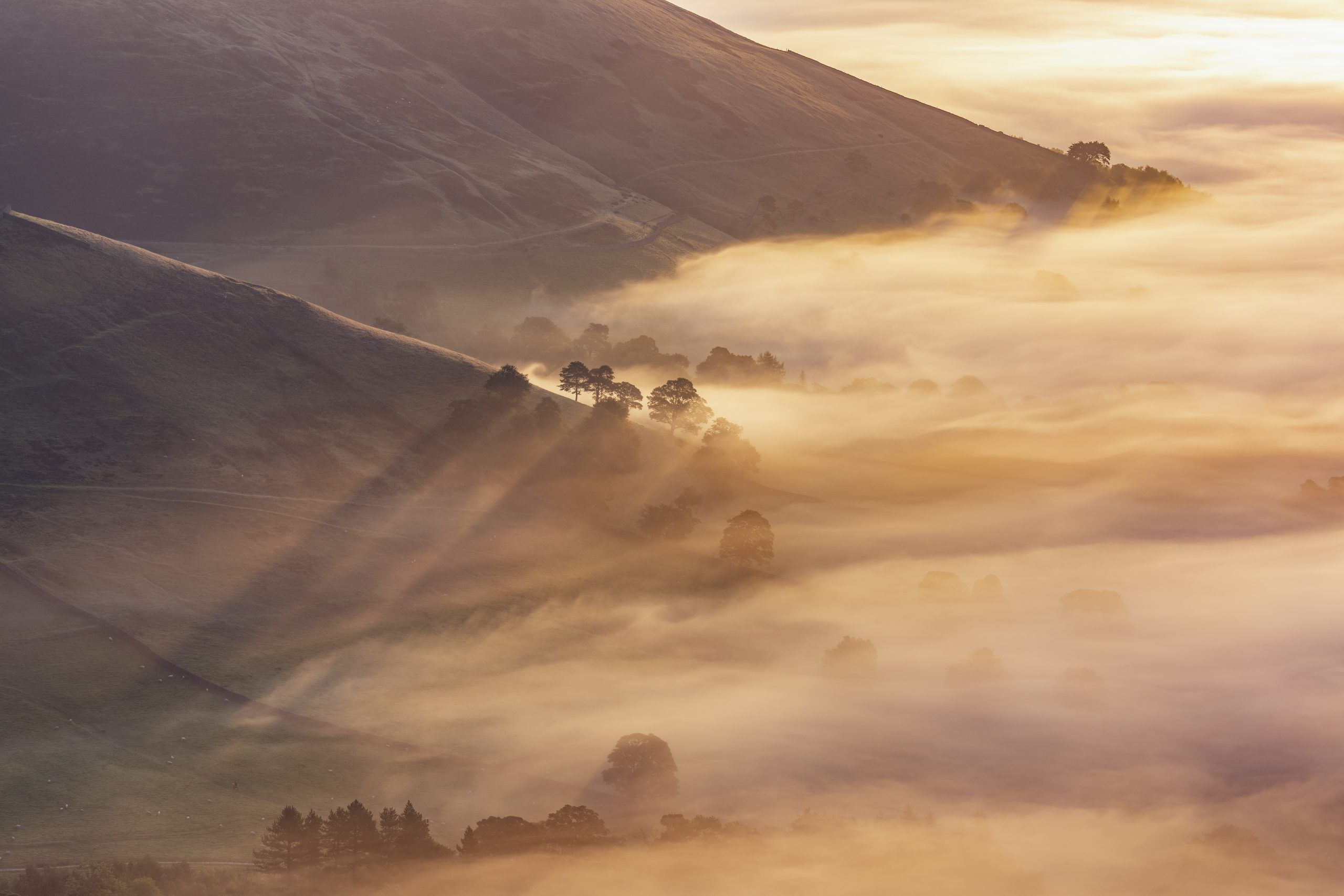 Jonathan Self: 'Ten yards from shore, I felt completely and utterly ...