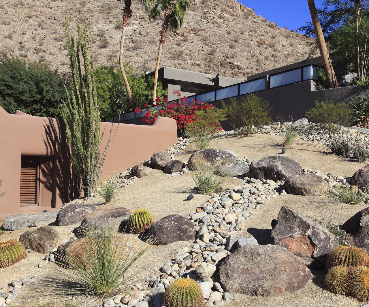 Desert landscaping ideas: 12 design and plant tips to try | Homes and ...