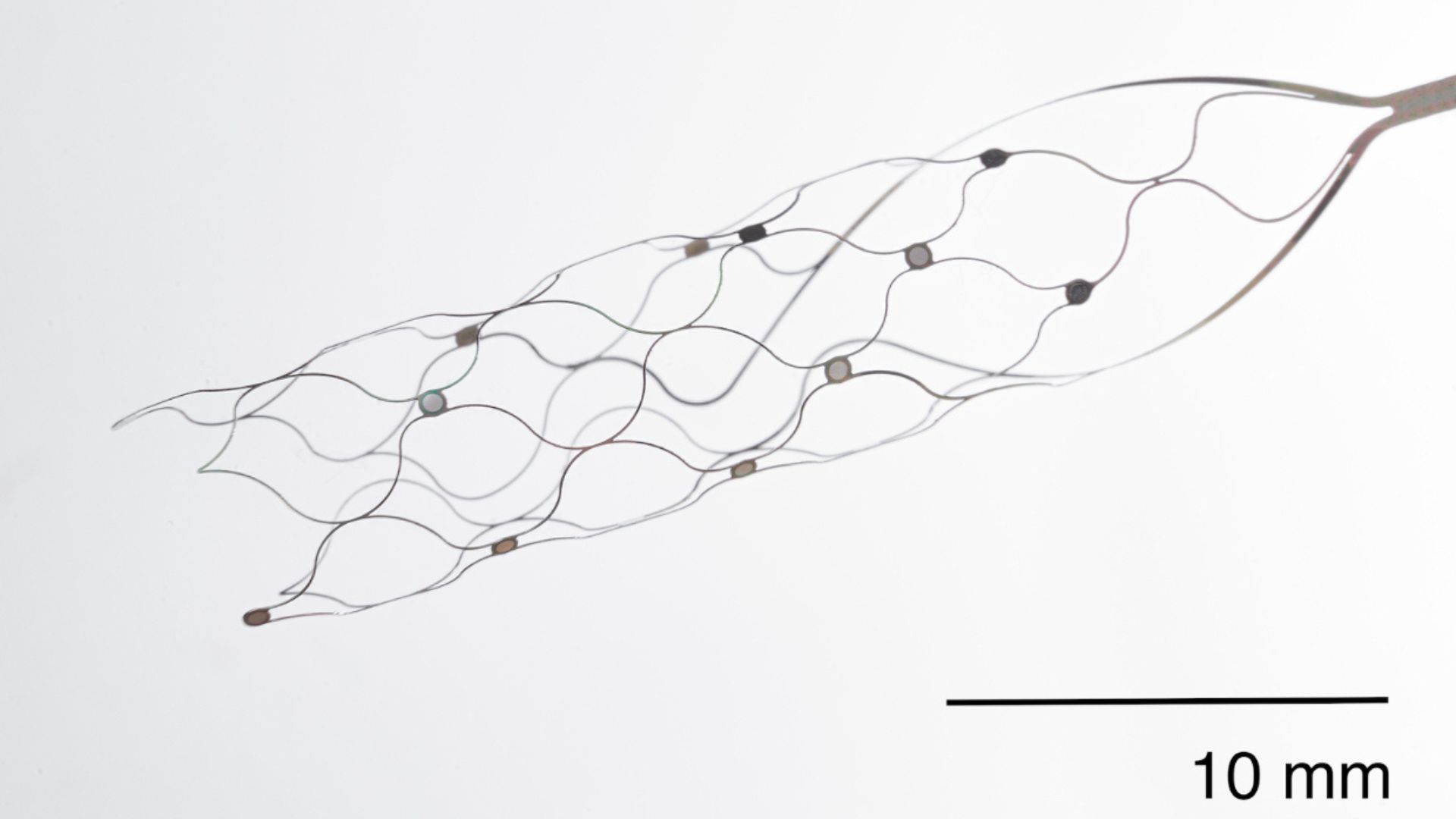 New 'thought-controlled' device reads brain activity through the ...