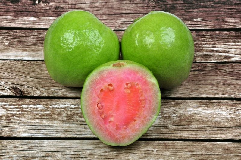 Tips & Information about Guava Trees | Gardening Know How