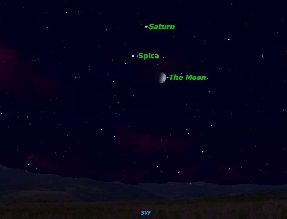 Saturn, Spica and First Quarter Moon Light Up Night Sky | Space