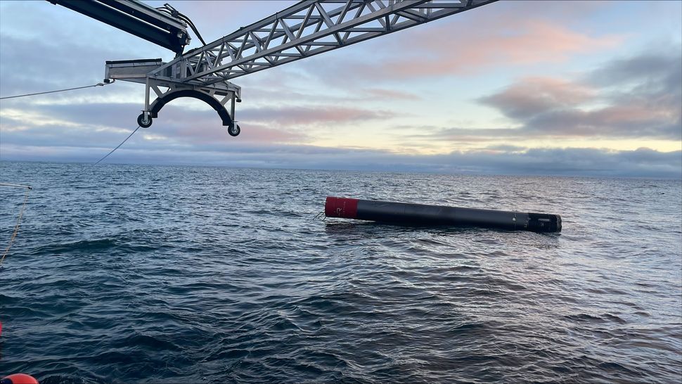 Rocket Lab launches 4 satellites, recovers booster from the sea | Space
