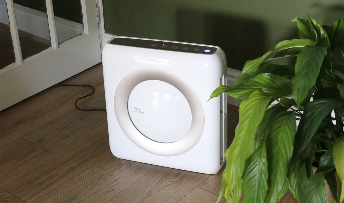 Coway Airmega Mighty review a sleek powerful air purifier Homes Gardens