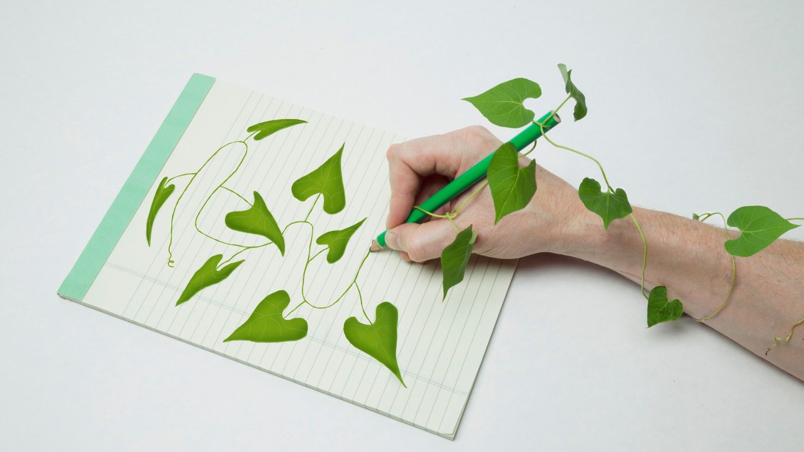 A gift that keeps on growing: these Spread the Love eco pencils grow ...