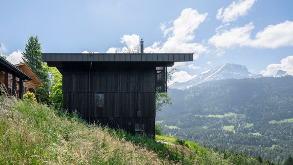 Steve Harries’ photobook is a stunning botanical exercise | Wallpaper