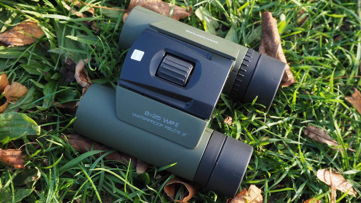 Olympus 8x25 WP II binoculars review | Live Science
