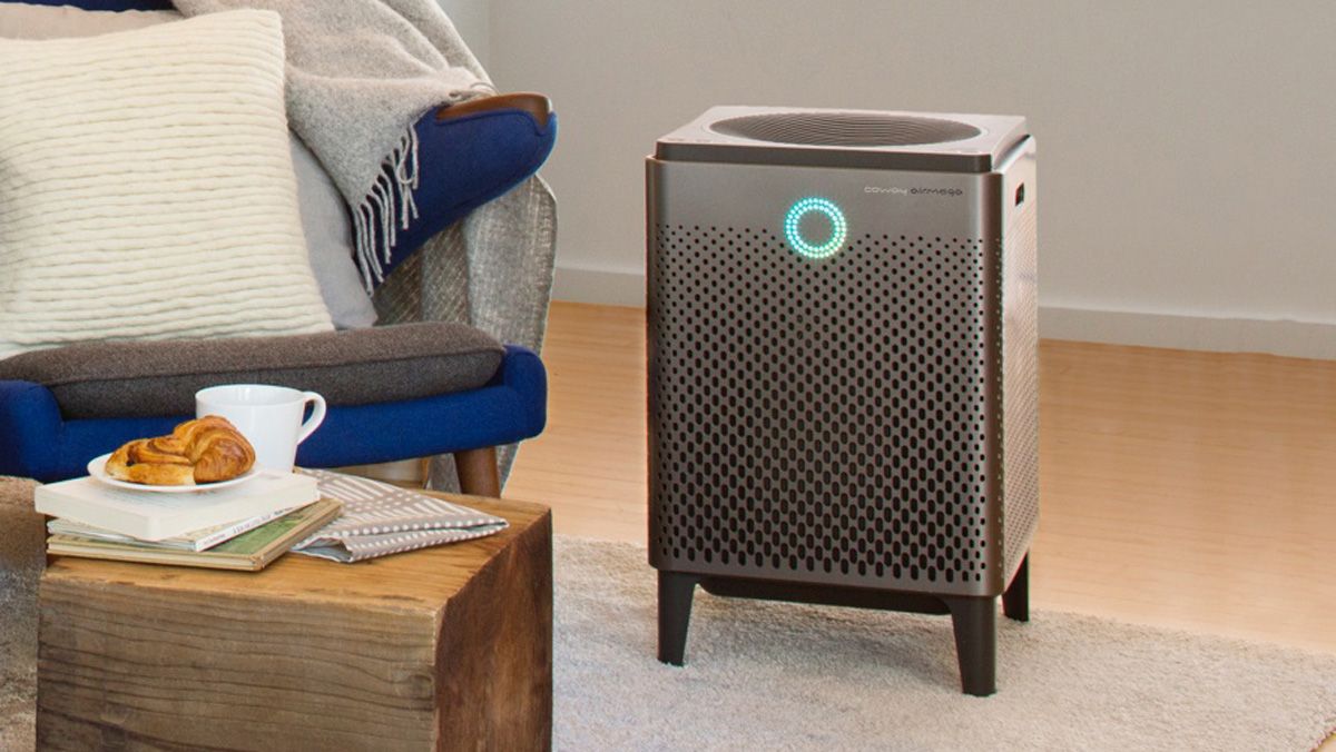 Buying an Air Purifier? Here's What You Need to Know | Tom's Guide